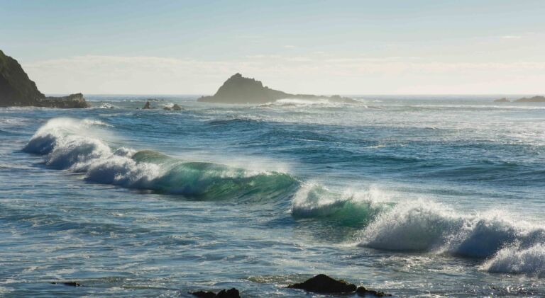 Wave 1: The Practice Profile - Occasions of Care Explained and ANalysed ...